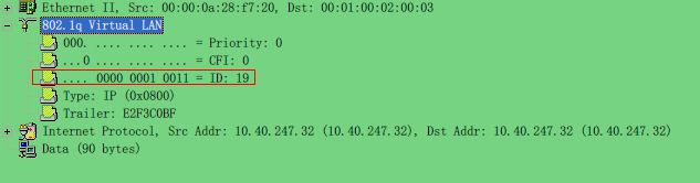 Single Sized Vlan Mapping Sub Interface Accesses The Vsi And Vlan